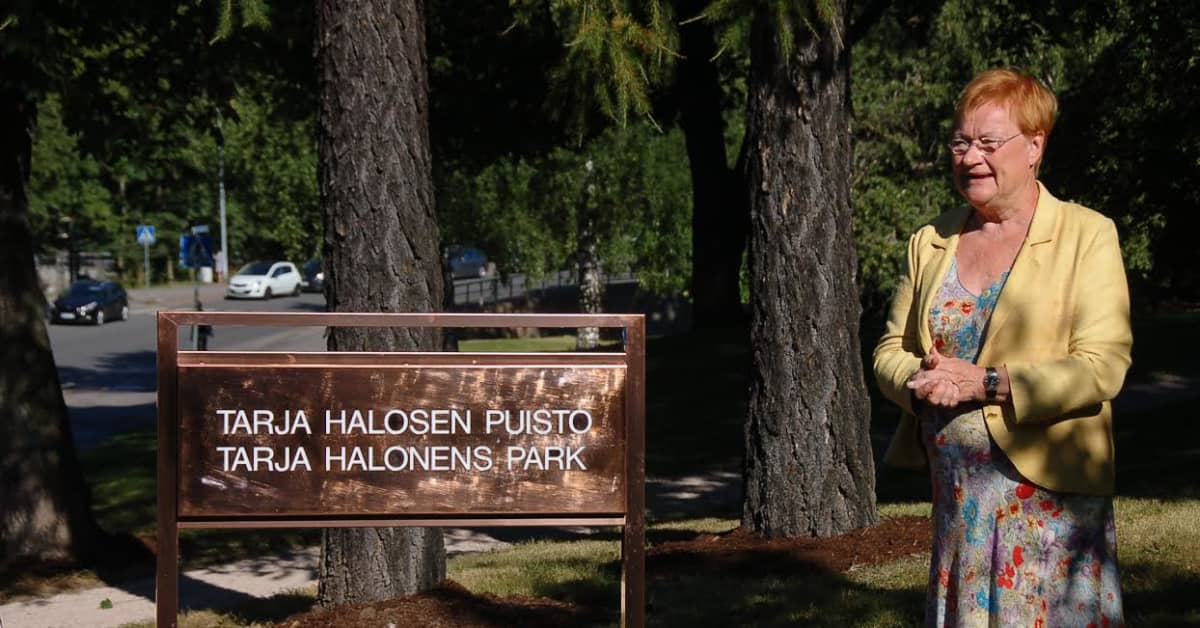 Tarja Halonen sai nimikkopuiston Helsingin Kalliosta | Yle
