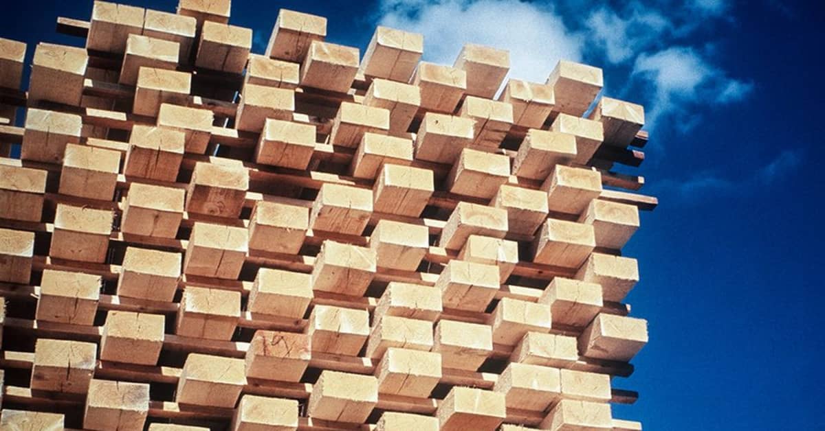 Kiina köhii, Suomen sahat nykivät | Yle