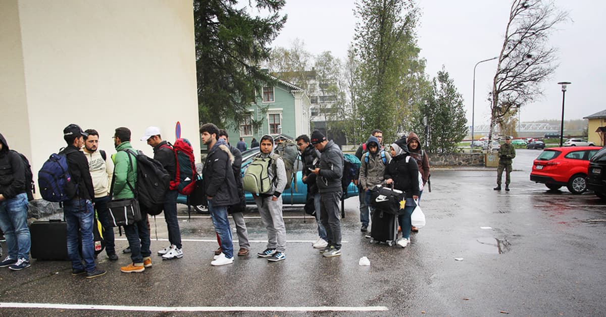 Maahanmuuttovirasto varautuu isoon tulijamäärään tänäkin vuonna | Yle