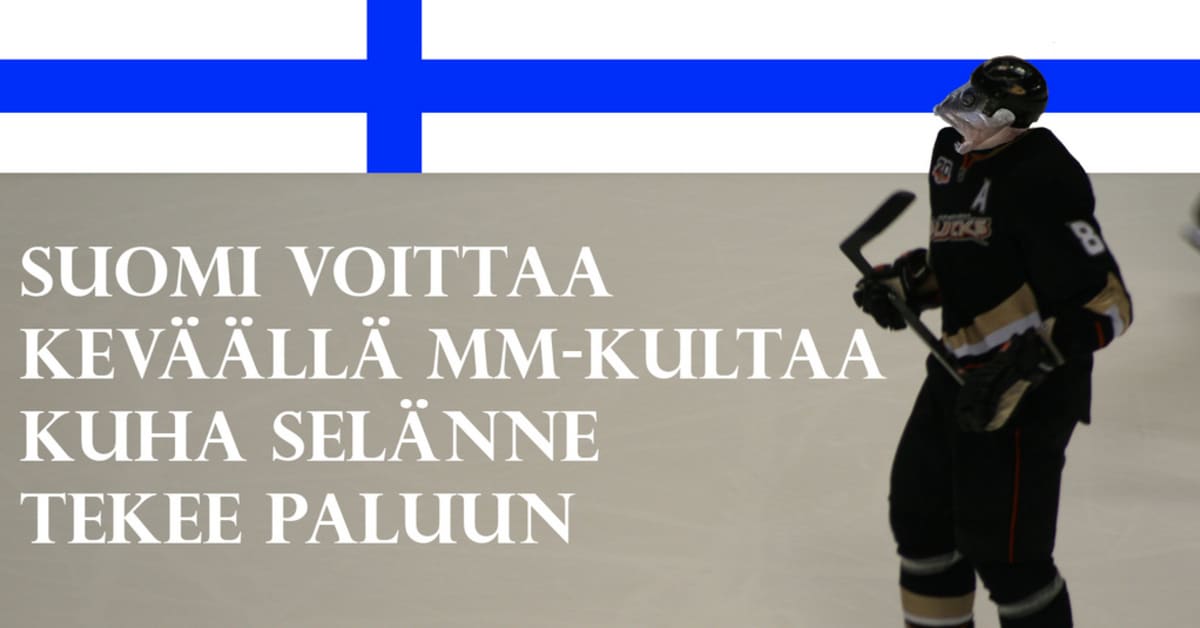 Meemi avaa ovia bisneksille – kuha summasta sovitaan | Yle