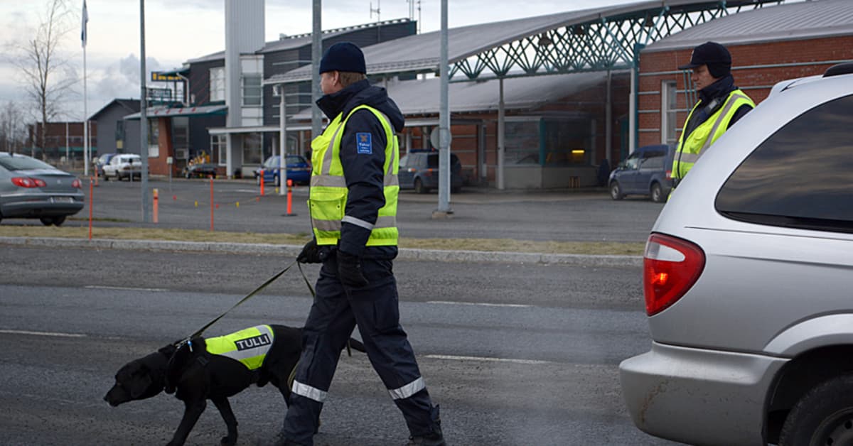 Customs shuts service points in Tornio, Pori, Turku and Hanko | Yle