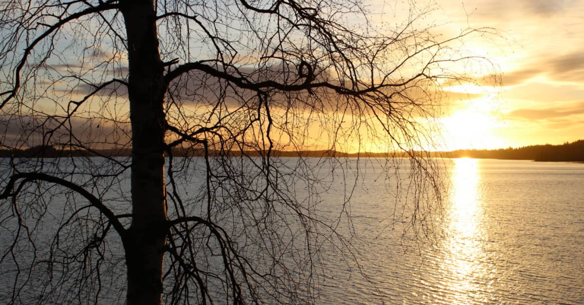 Shortest day of the year: Winter solstice on Tuesday | Yle