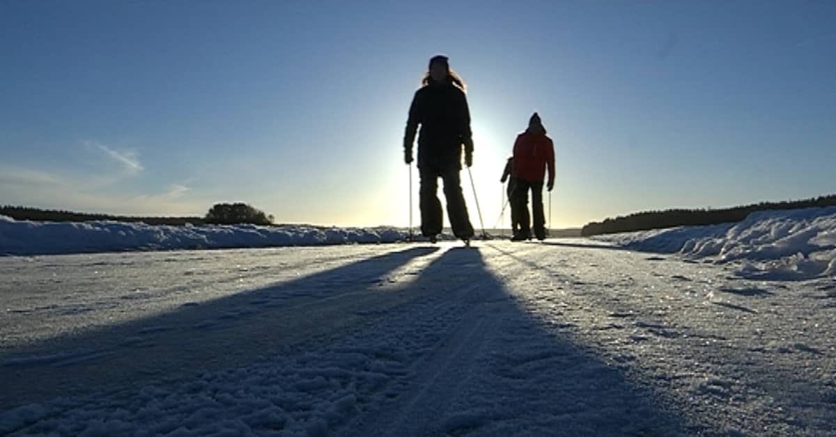Mikke ry:n uusi toiminnanjohtaja Kati Häkkinen: "Voisimme tuotteistaa ...