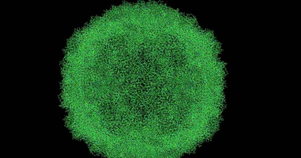 Virukset tarkempaan tutkintaan – Itä-Suomen yliopisto ostaa ...