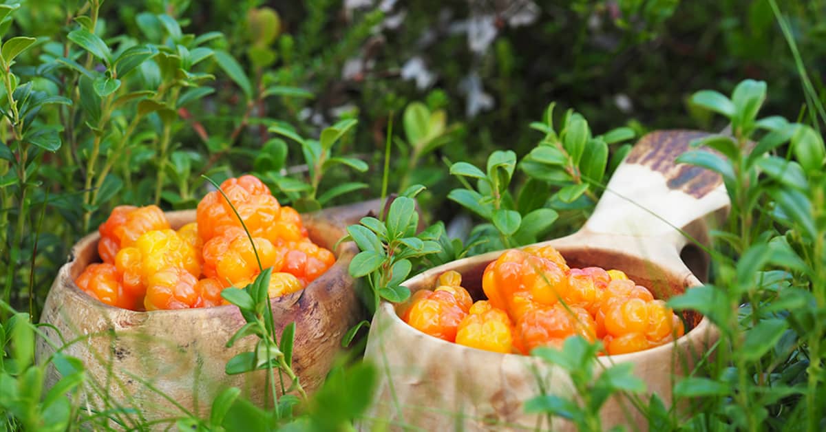 Hillaa saatu hyvin myyntiin – ostohinta pudonnut jopa alle kymppiin | Yle