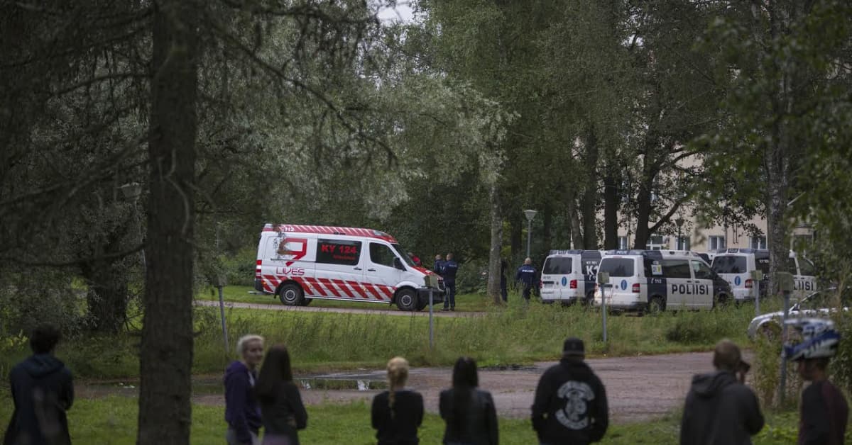 Red Cross: Knife-wielding man at Kotka reception centre suffered mental ...