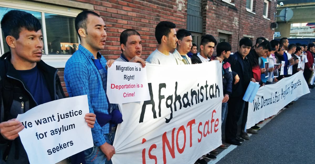 Report: Immigration Service circulates model negative asylum decisions ...