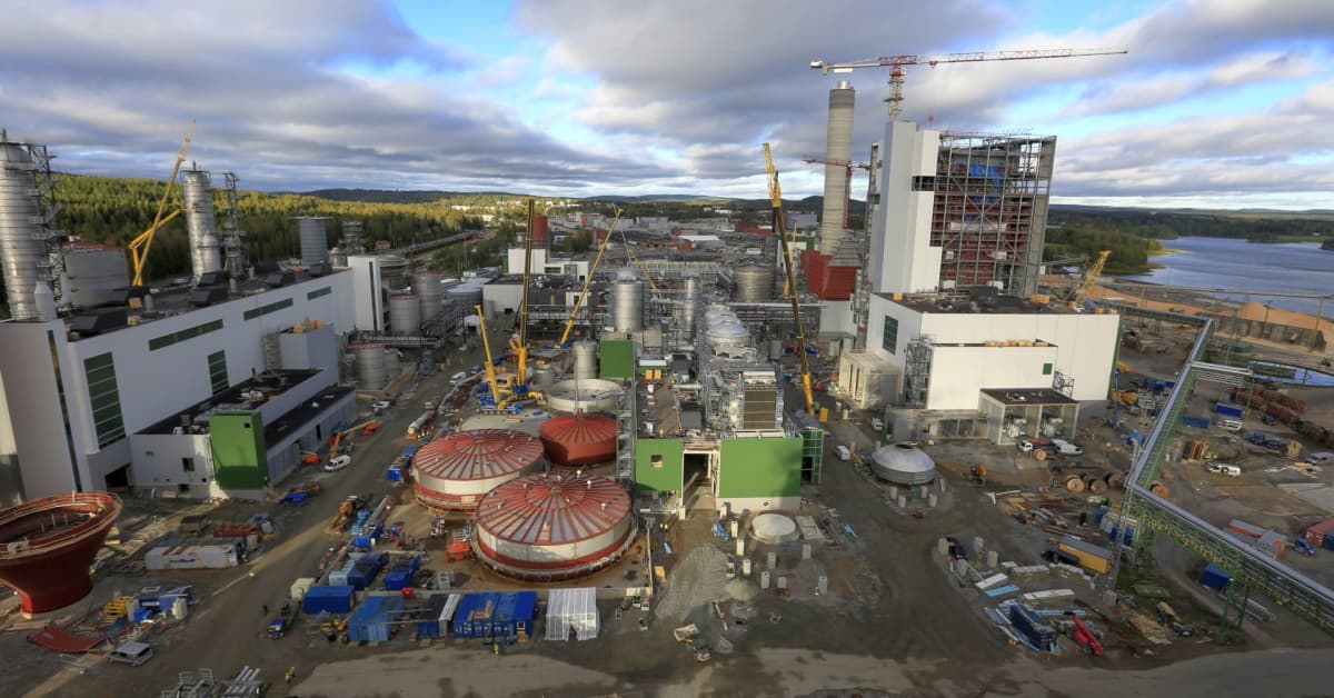 Äänekosken suurtehtaan jätteistä pottoainetta | Yle