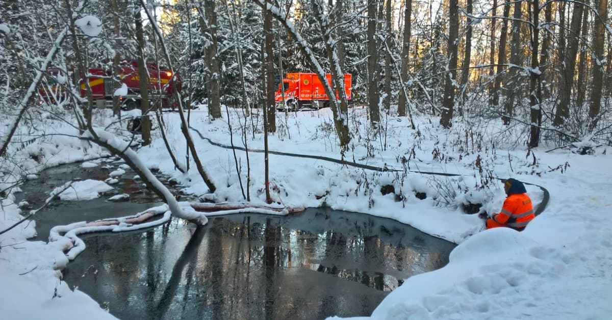 Helsingin Keskuspuistossa puroon päätyneen öljyn alkuperä tiedossa ...