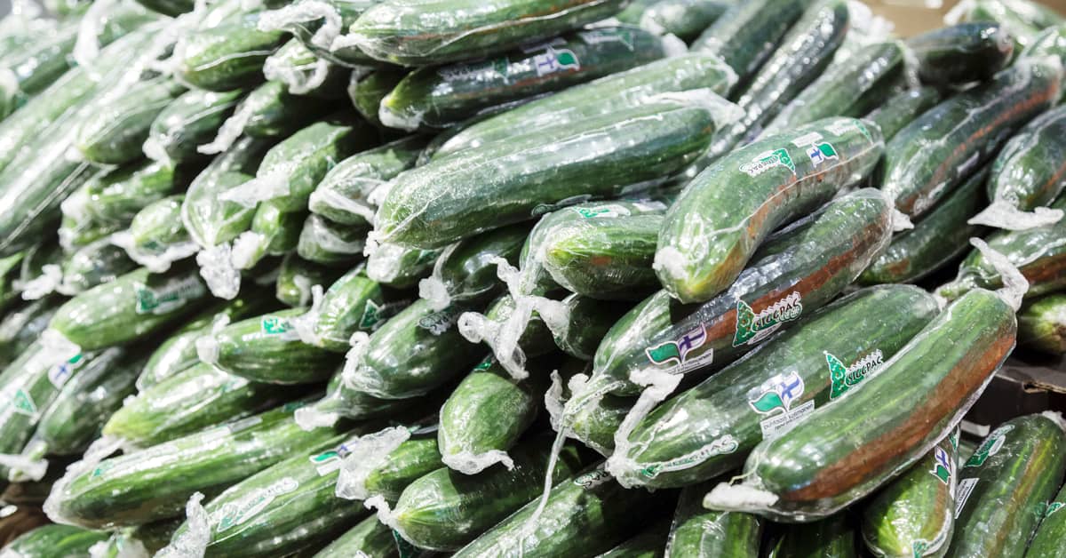 Maanlaajuinen kurkkupula vaivaa ruokakauppoja: "Ulkomainen kurkku on ...