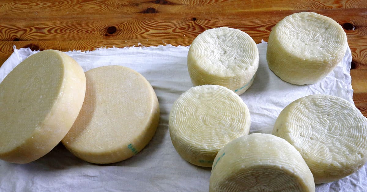 Suomalaisasiantuntija vahvistaa: Rasvainen juusto ei ole pahasta ...