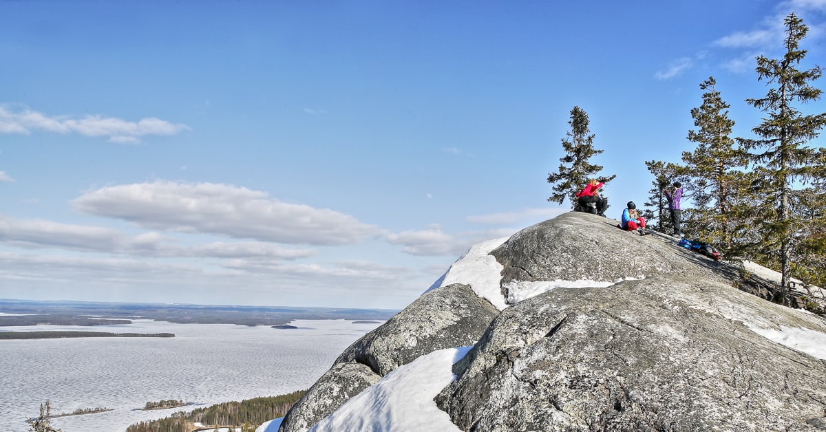 #lovekoli kerää Ukon päivänä Koliin liittyviä muistoja | Yle