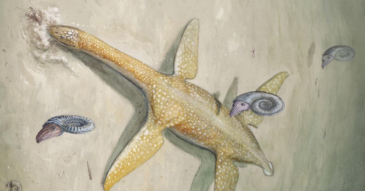 Muinaismeren supersaalistaja sai nimen ovelalta germaanipäälliköltä | Yle