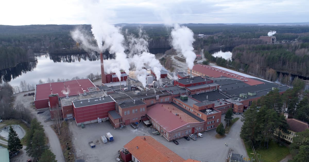 Pankaboard keskittyy kartonkiin ja myy energiatuotantonsa | Yle