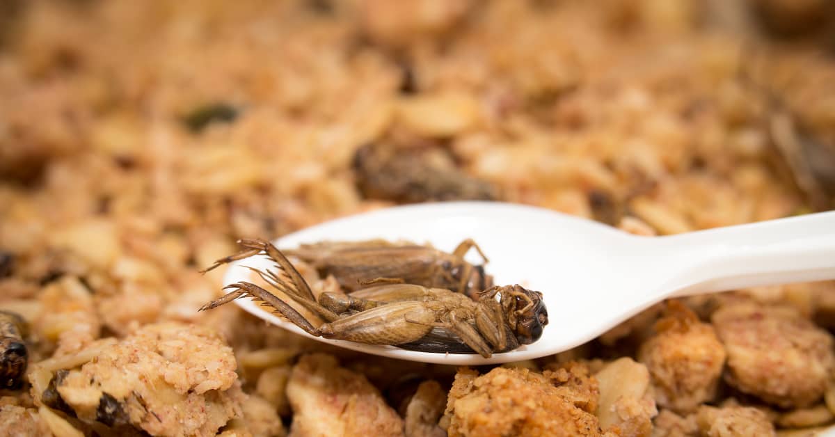 Friday's papers: From Syria with love, Rovio's share price slide and ...