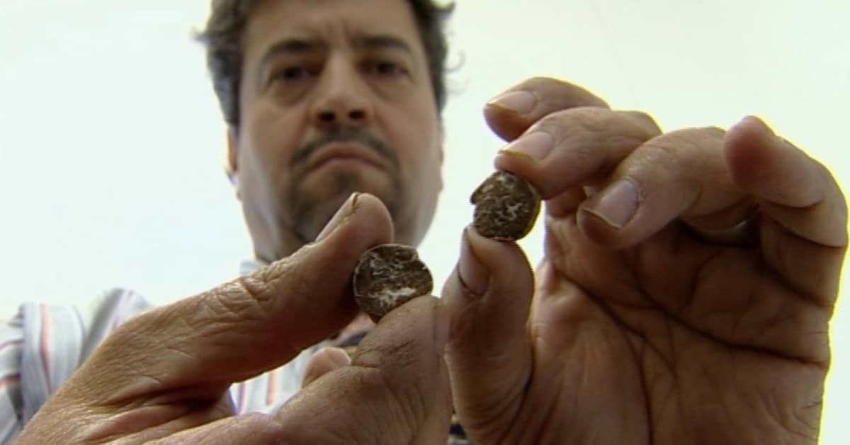 Suomalaisesta tryffelistä vientihitti Italiaan? – 10 vuotta sitten ...