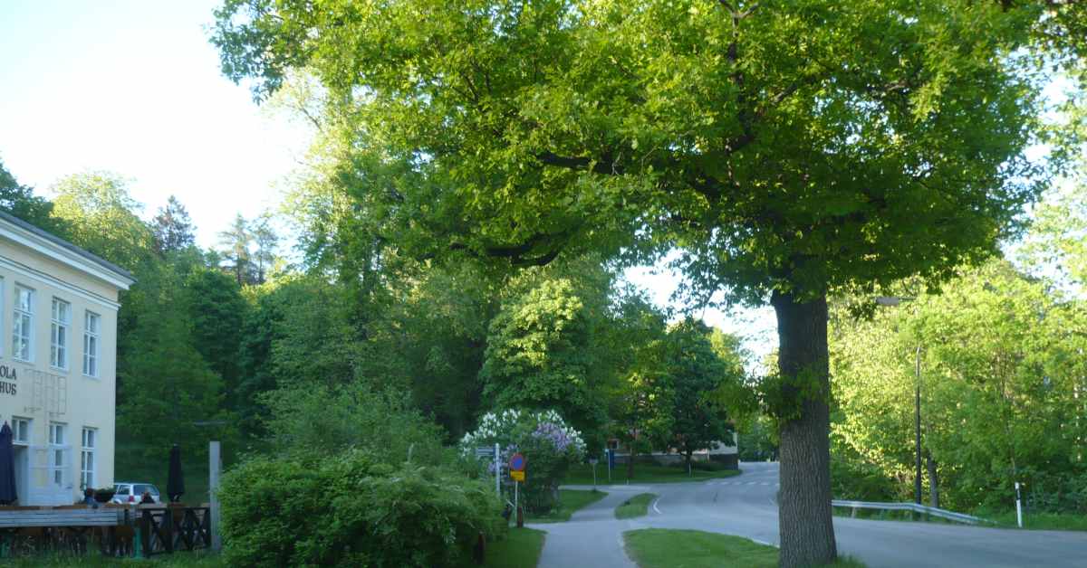 Skrinna från Hangö till Kotka! | Västnyland | Svenska Yle