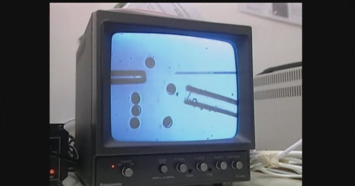 Hudceller omvandlas till friska hjärtmuskelceller | Utrikes | Svenska Yle