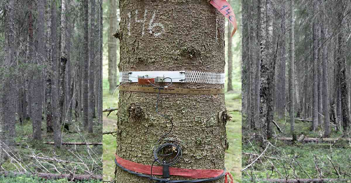 Novia i Raseborg fick ny samarbetspartner | Västnyland | Svenska Yle