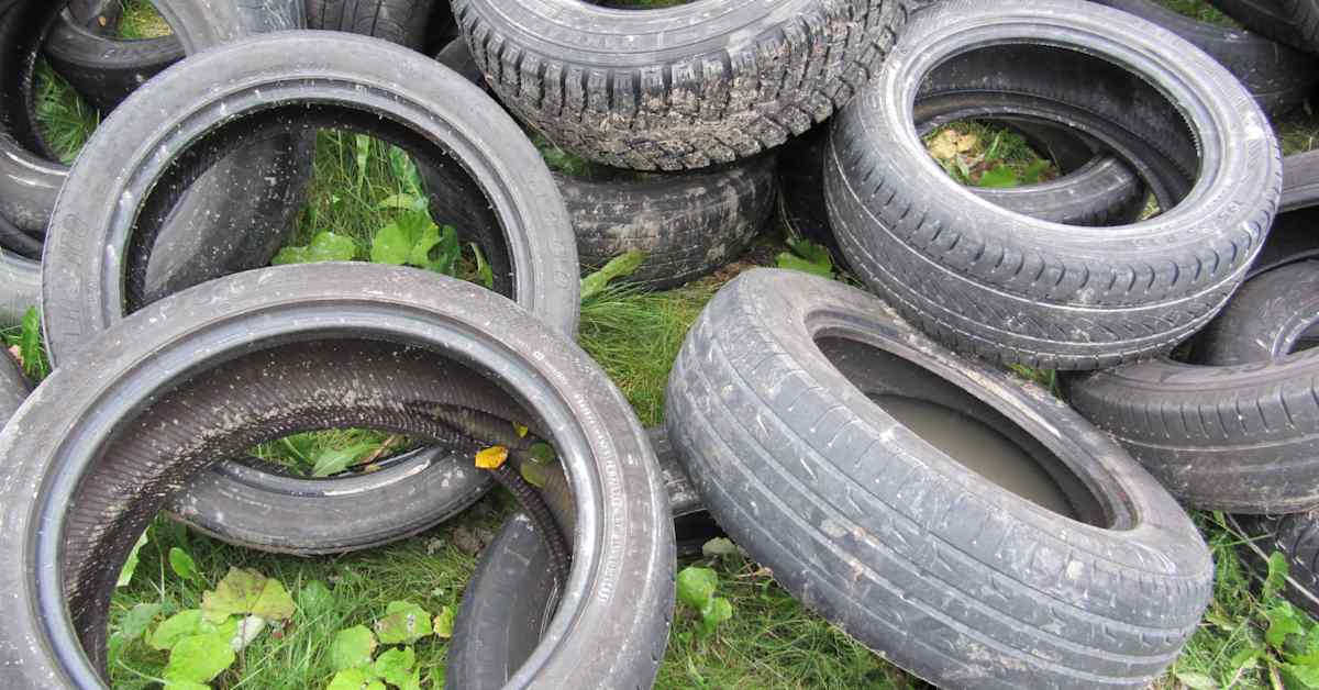 Slarvig gård i Ekenäs måste städas | Västnyland | Svenska Yle