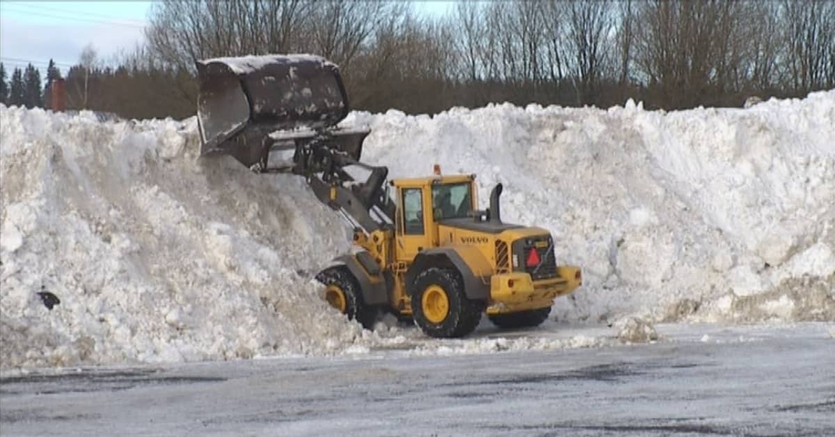 Miljöinspektör vill förbjuda dumpning i havet | Huvudstadsregionen ...
