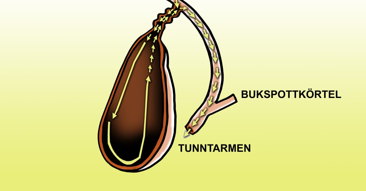 Galla | Hälsa | Svenska Yle