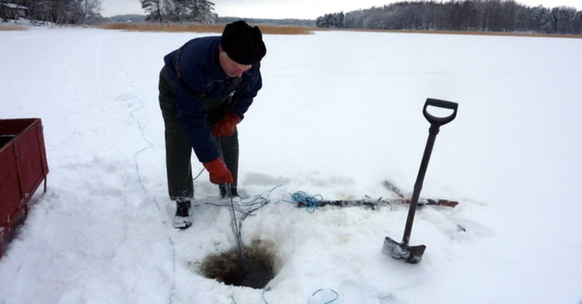 Lura fisk under isen | Åboland | Svenska Yle