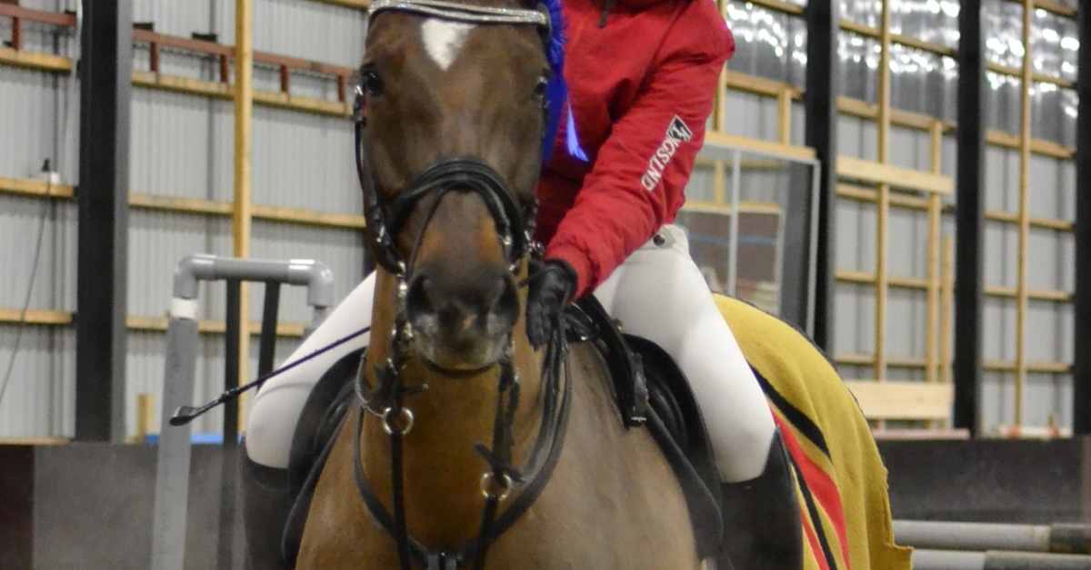 HuR:s Erica Hellman tvåa i hinderritt | Västnyland | Svenska Yle