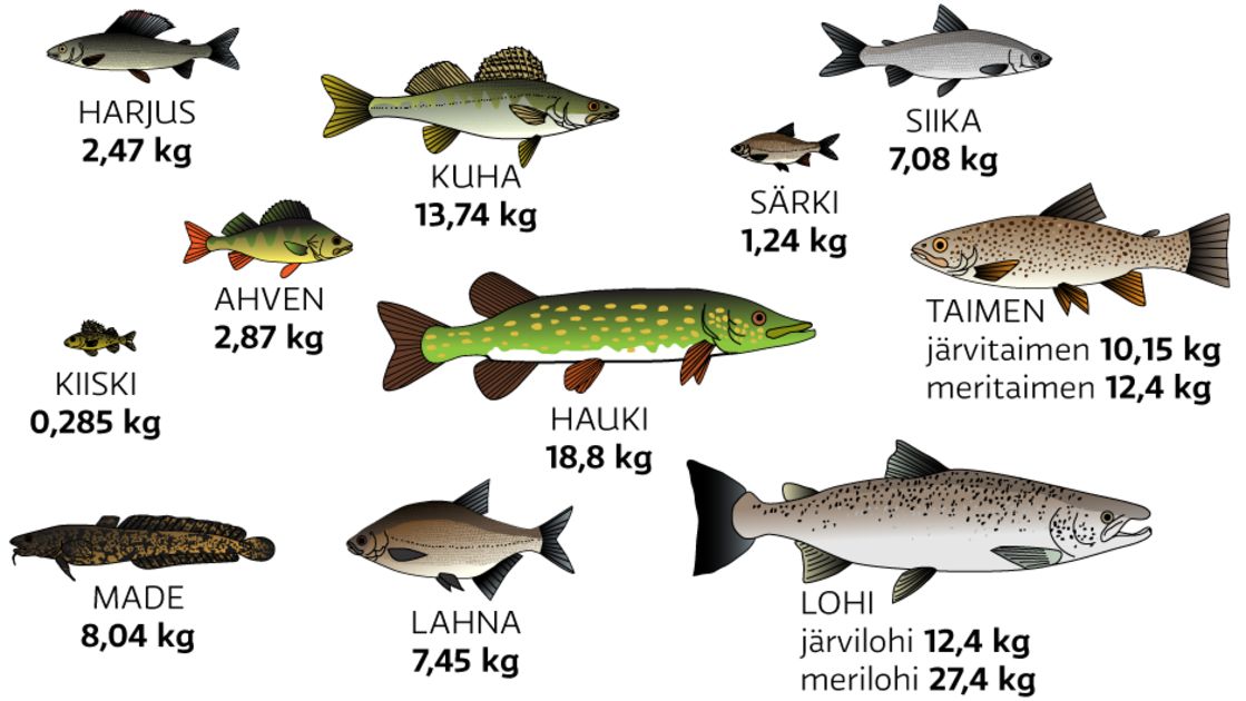 Seitsemän kilon siika ja muut ennätyskalat – katso vuosituhannen ...