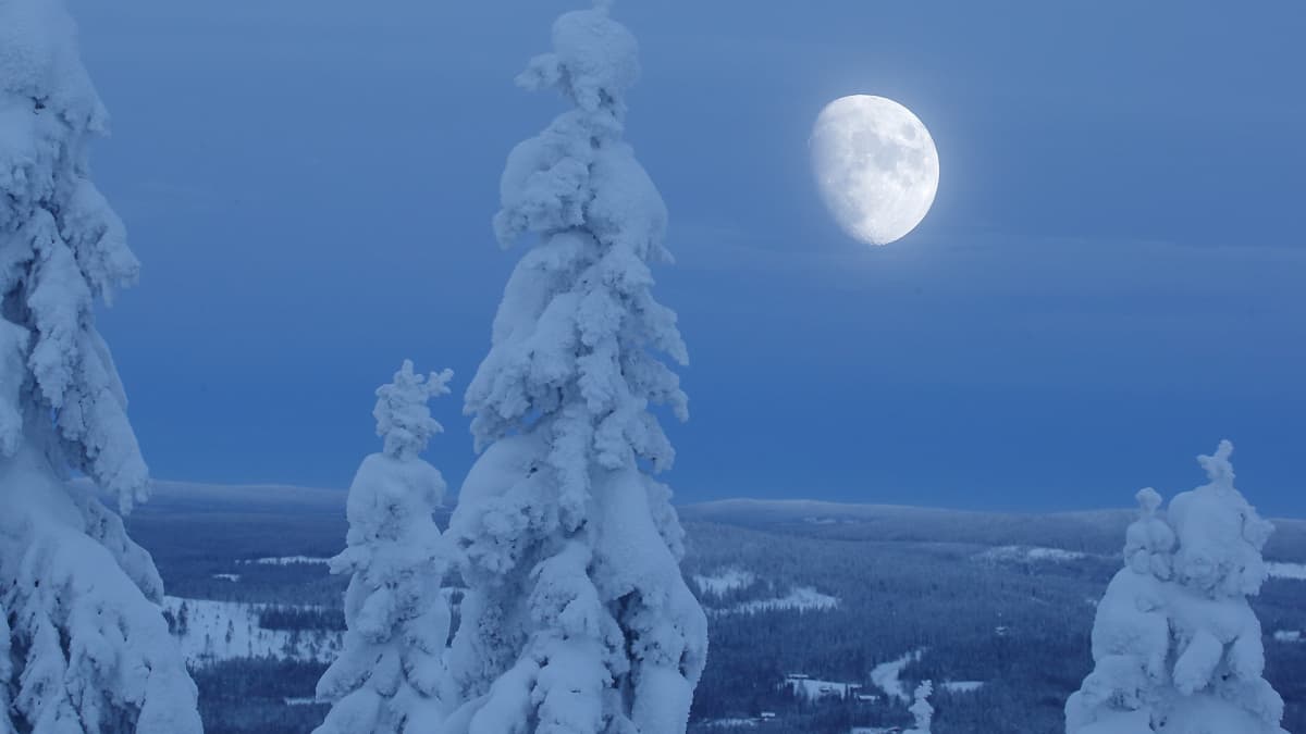 Early autumn ideal for viewing Milky Way in Finland | News | Yle Uutiset