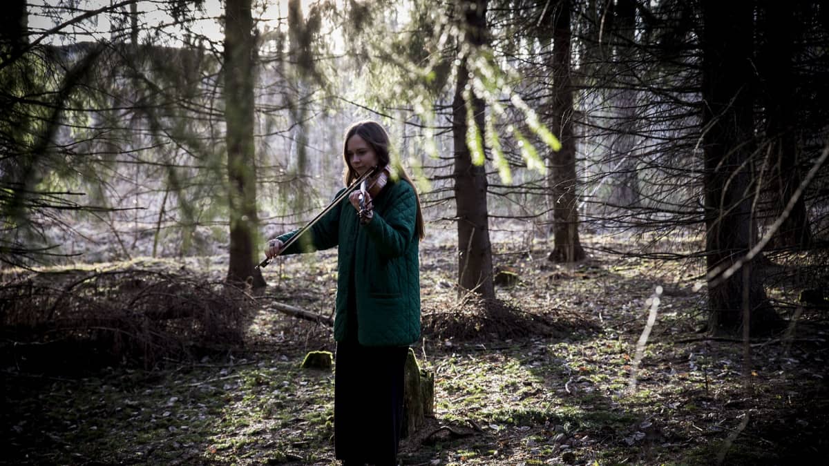 Turvallinen metsä muuttuu vaaralliseksi paikaksi – Meriheini Luodon ...