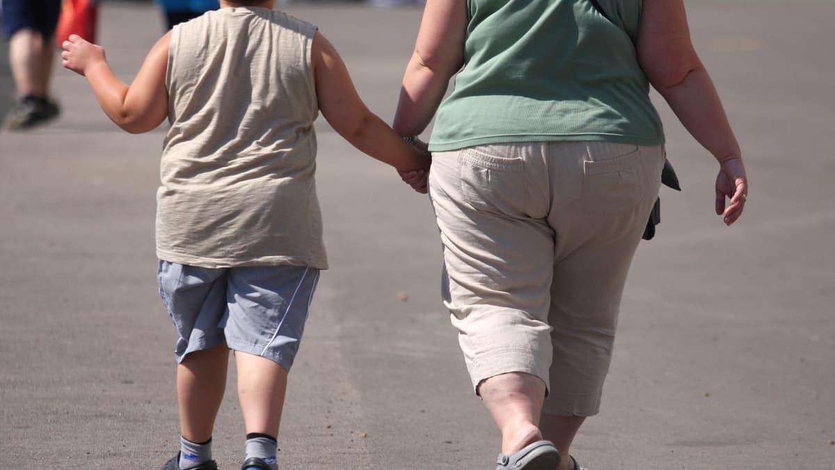 Finland's population increasingly obese, but 2m residents lack expert ...