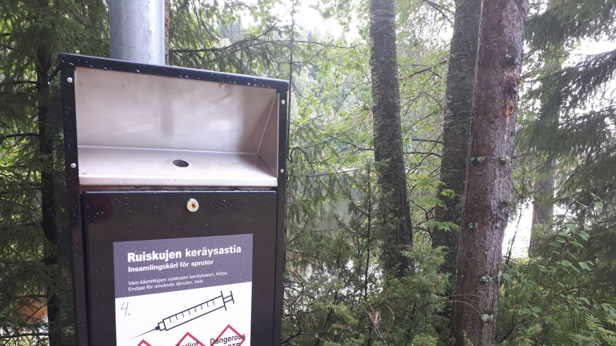 Kajaanin puistoihin vihdoinkin neularoskiksia – "Jokainen ...
