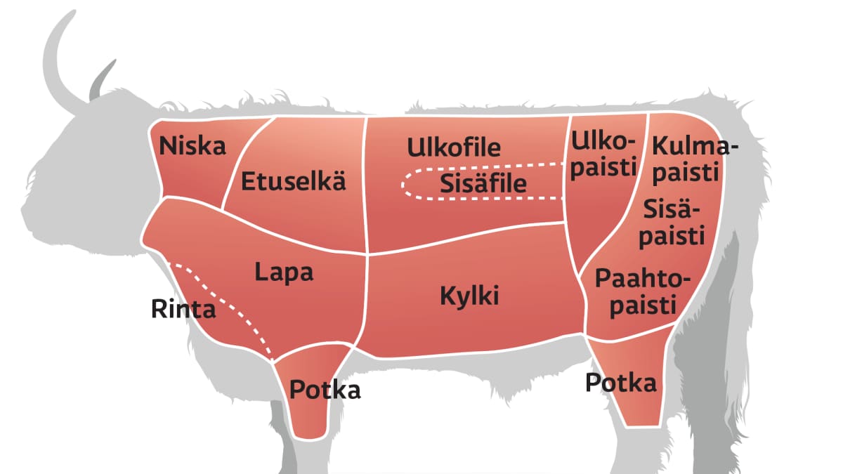 Pelkäätkö sinäkin käyttää näitä naudan sisäelimiä? – asiantuntija ...