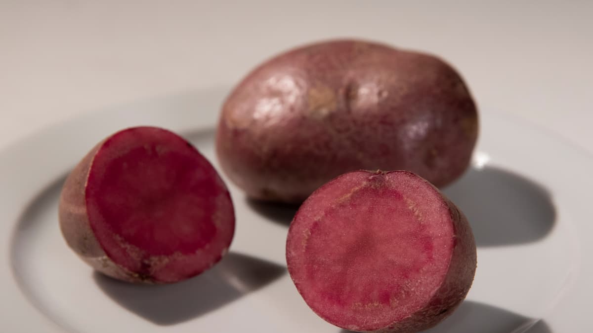 Peruna on todellista ilmastoruokaa – palauta peruna lautaselle! | Yle ...