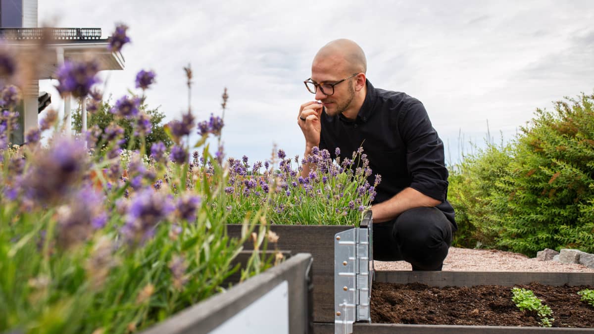 "Ruoka on suurin kriisi tällä vuosisadalla" – Tulevaisuuden ruoka ...