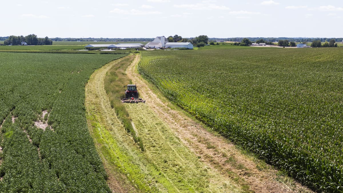 Luke: Number of farms in Finland declining rapidly | News | Yle Uutiset