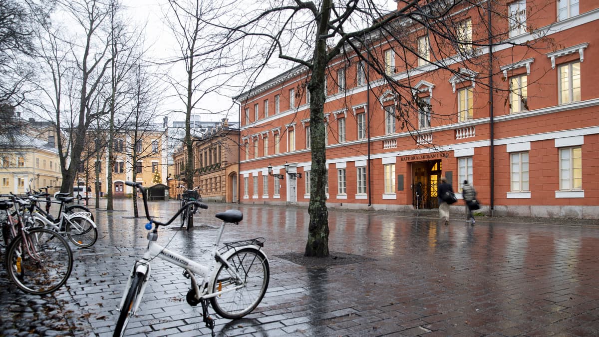 Swedish-language high schools dominate best results list | News | Yle ...