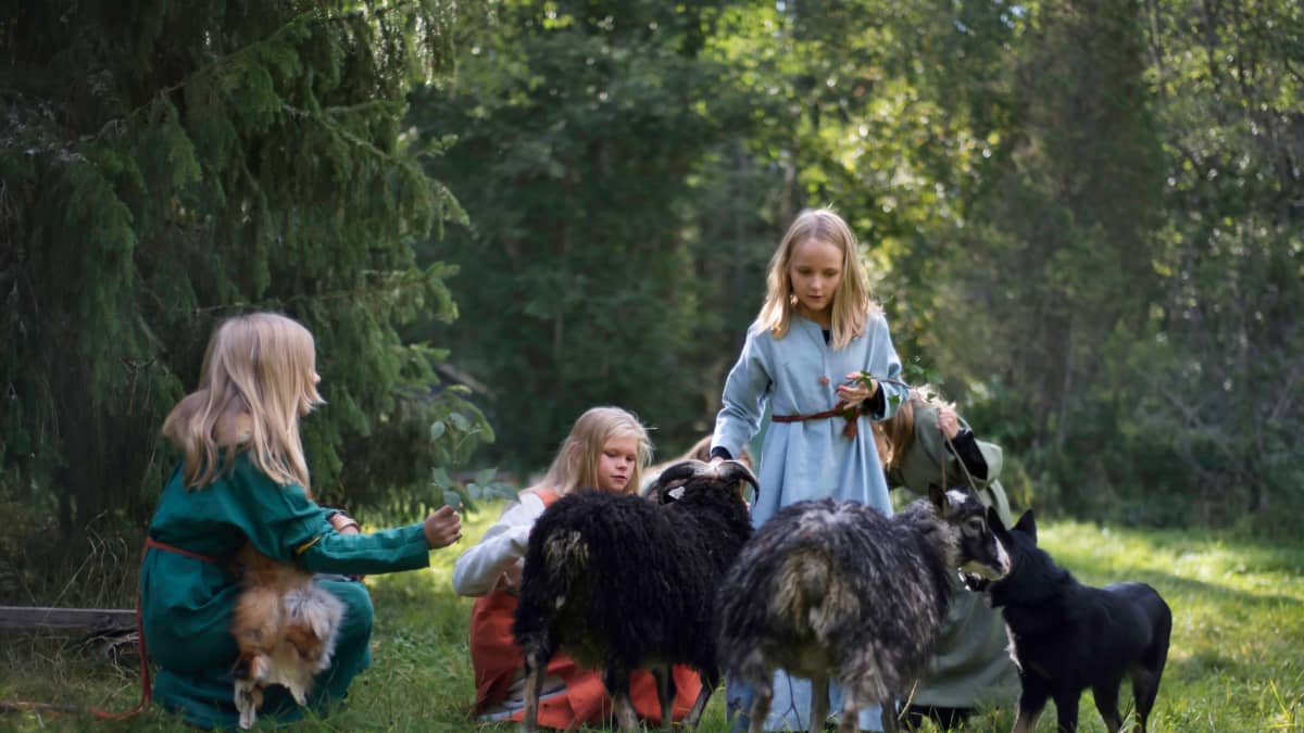 Isotooppitutkimus raottaa rautakautisen kalmiston saloja: Kala oli ...