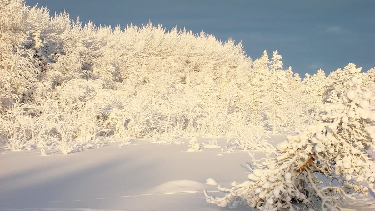 Lumisessa talvessa aineksia kevättulvaan | Yle Uutiset