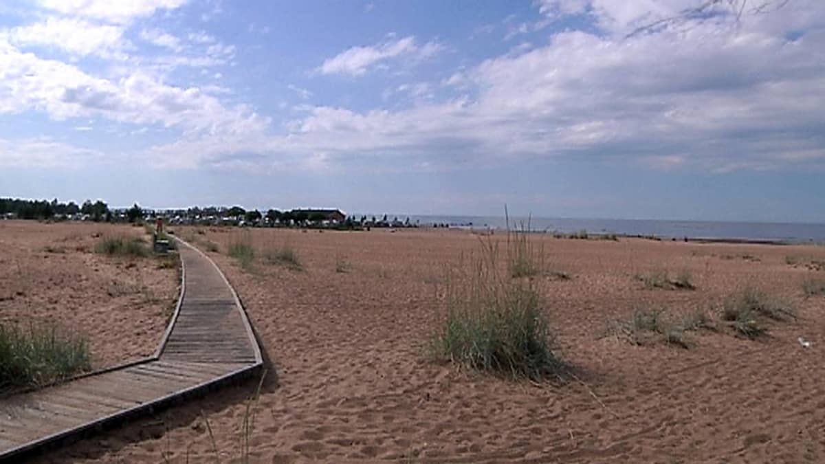 Kalajoki tähtää kirkkaisiin uimavesiin – lokkilampi puhtaaksi | Yle Uutiset