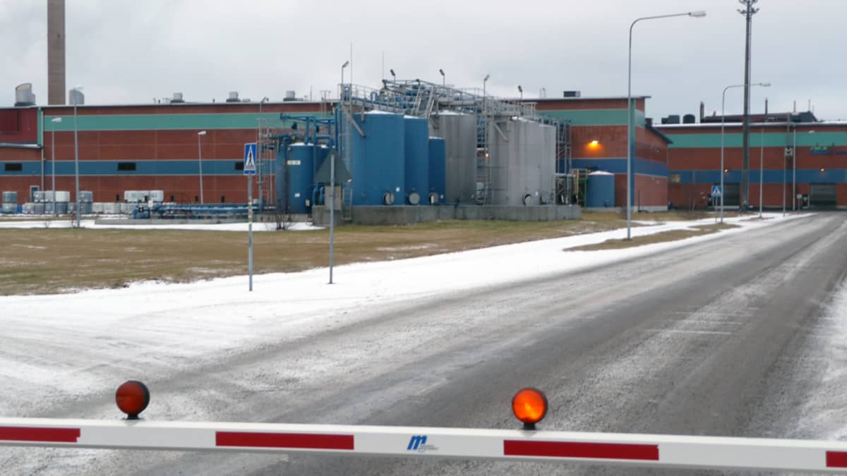 Ansiotulojen kärki KPO:lta ja suurteollisuudesta | Yle Uutiset