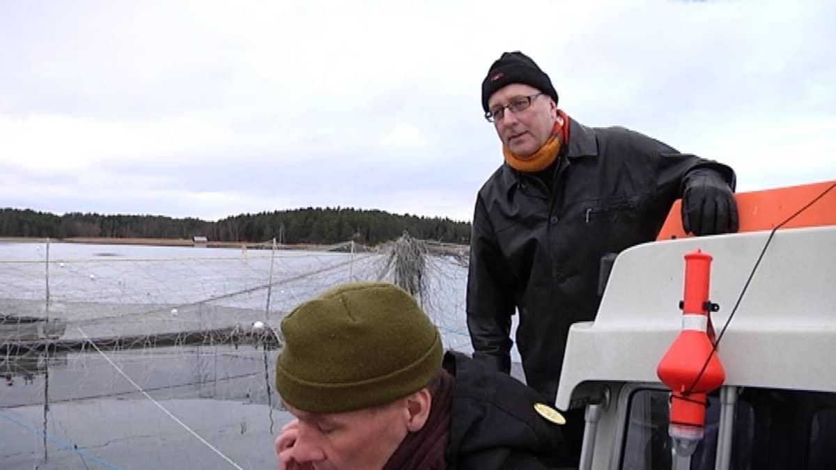 Turkulaisopettajat tutustuvat työelämään | Yle Uutiset