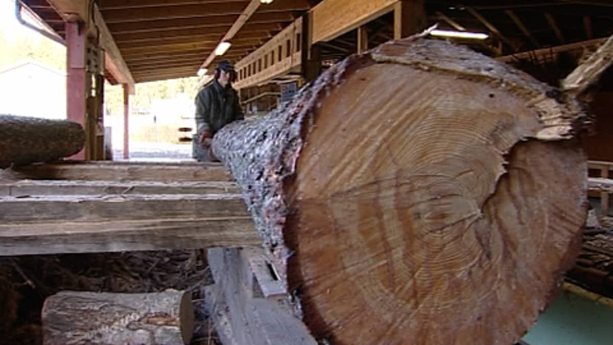 Vuokilat ostavat sahansa takaisin | Yle Uutiset