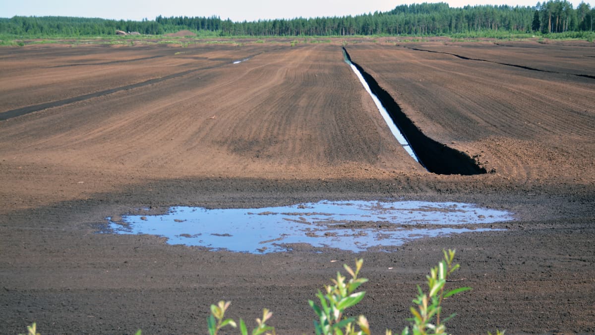 Kuopion turvevarastot kumisevat tyhjinä ensi keväänä, jos talven säät ...