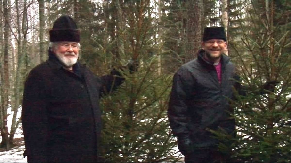 Piispa Jari Jolkkonen: hyvä joulukuusi on paksu ja kova juomaan | Yle ...