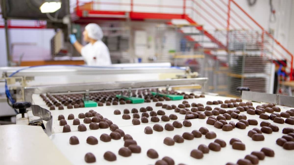 Makeisvero lähti, nyt Orkla investoi miljoonia suklaaseen | Yle Uutiset