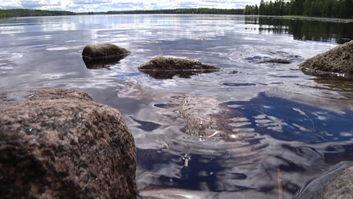 Samea vesi vei uima- ja kalastushalut – Saarijärven reitin asukkaat ...