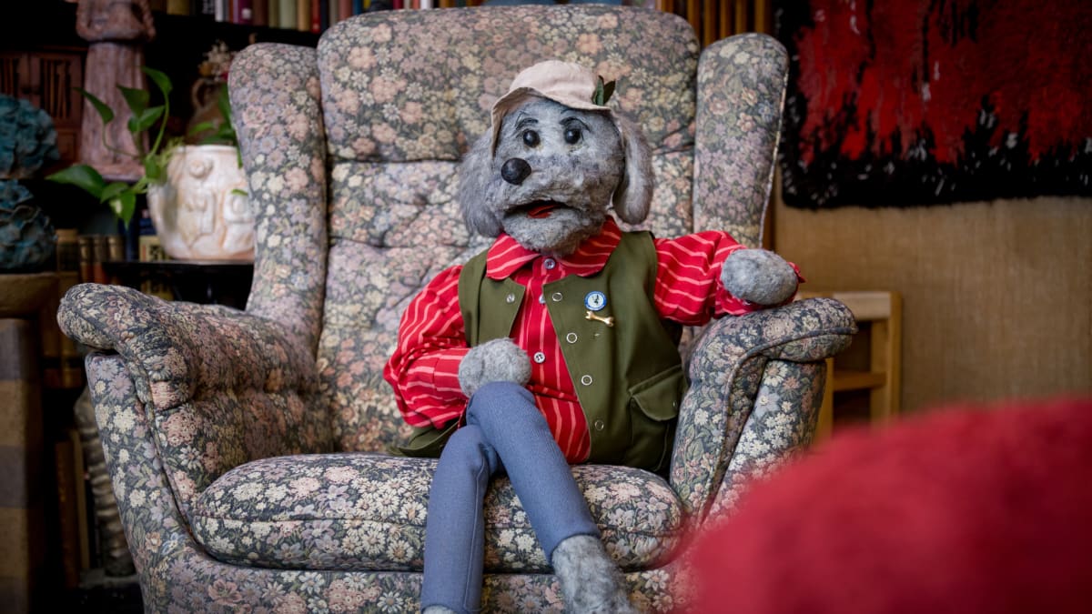 Ransu täyttää jo 40 vuotta | Yle Uutiset