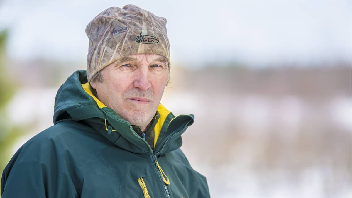 Seppo Ronkainen on alistanut suden 300 kertaa – "Se on helpoin eläin ...